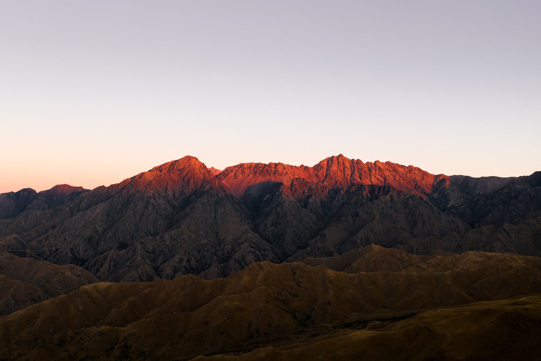 Middlehurst Station Lamb - Middlehurst Station