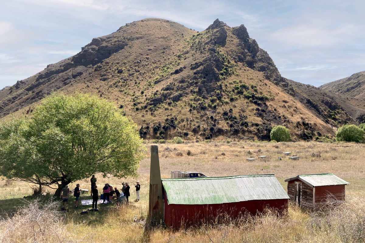 The Quarters - Middlehurst Station